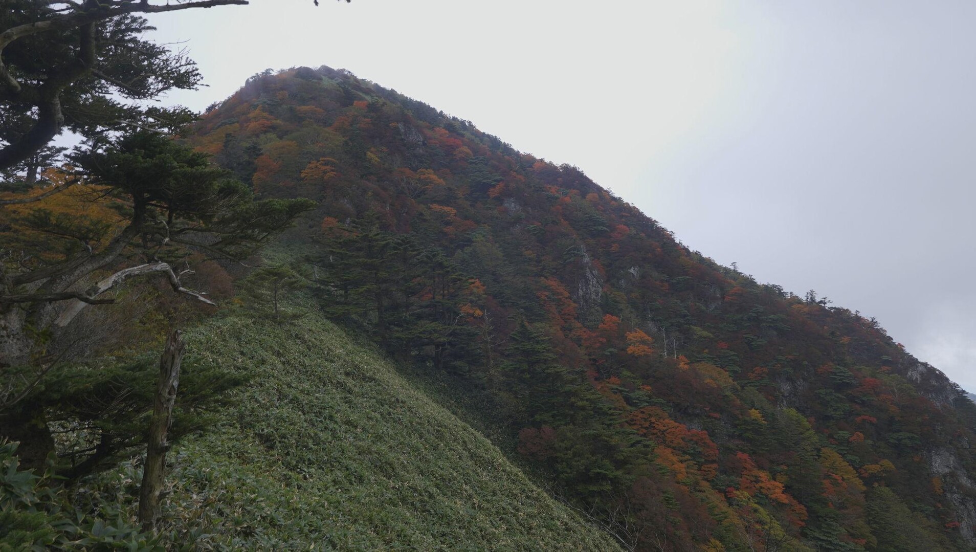 瓶ヶ森、西黒森 / FRVさんの瓶ヶ森・伊予富士の活動データ | YAMAP / ヤマップ