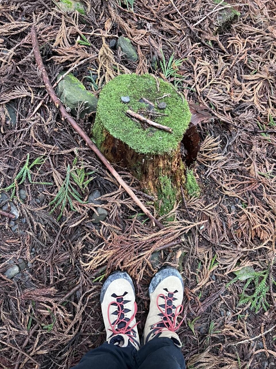 ゆうやMのページ | YAMAP / ヤマップ