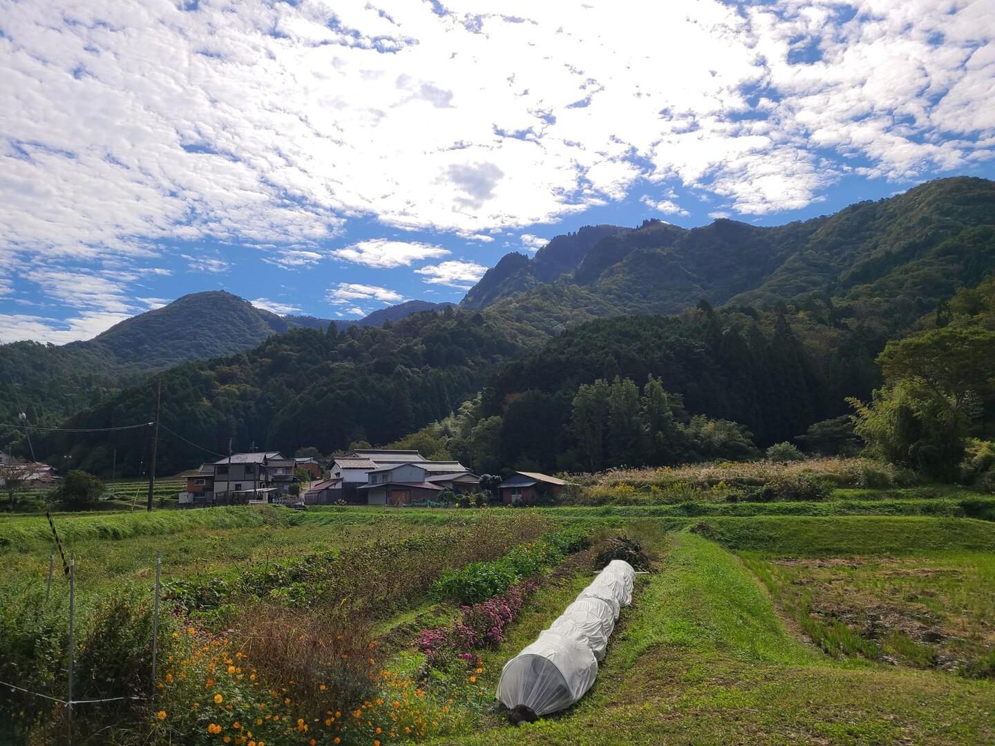 西ヶ嶽・御嶽（三嶽）・前山 / secchanさんの御嶽（三嶽）・小金ヶ嶽・西ヶ嶽の活動データ | YAMAP / ヤマップ