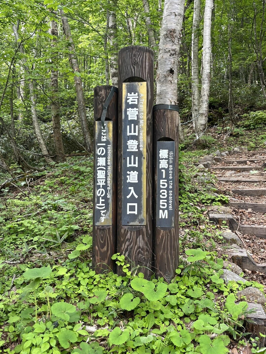 岩菅山・裏岩菅山 / s0316kさんの岩菅山・寺小屋峰の活動データ | YAMAP / ヤマップ
