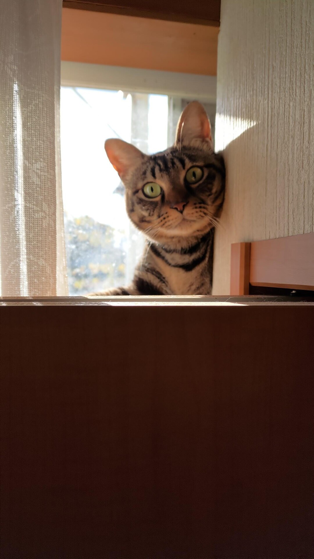 anto SSのページ | YAMAP / ヤマップ