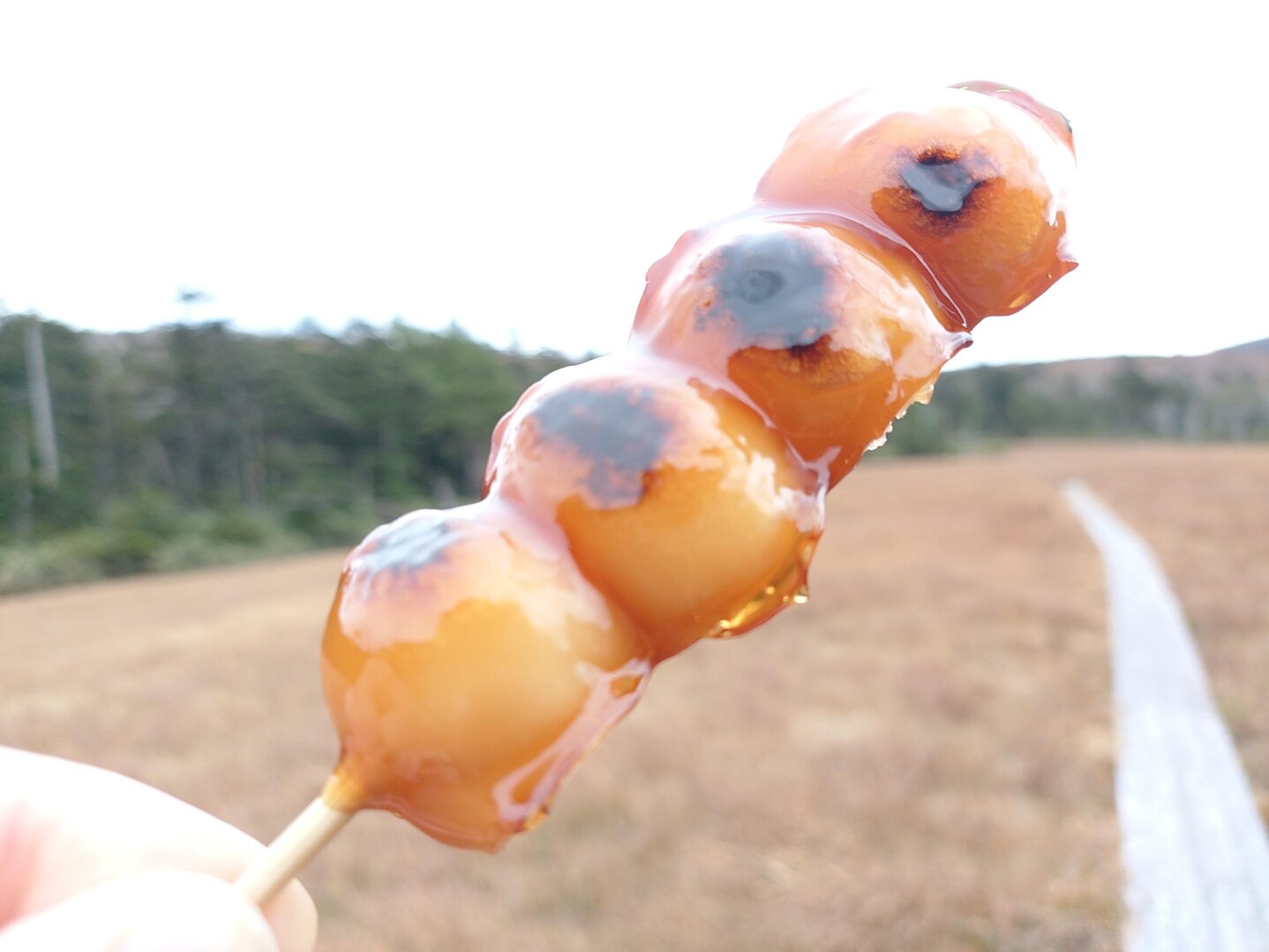 尾瀬沼・小淵沢田代 / kohirouさんの尾瀬・燧ヶ岳の活動データ | YAMAP / ヤマップ