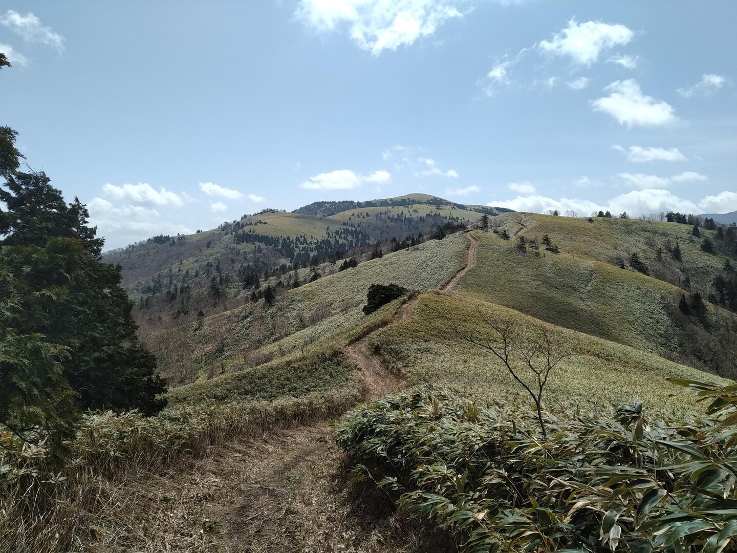 南沢山・横川山（湯舟沢山）・富士見台・神坂山 / h.bloodさんの恵那山・大判山・神坂山の活動データ | YAMAP / ヤマップ