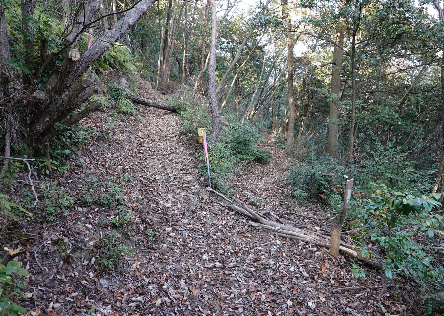 wtaxus わたくさすさんの投稿したフィールドメモ | YAMAP / ヤマップ