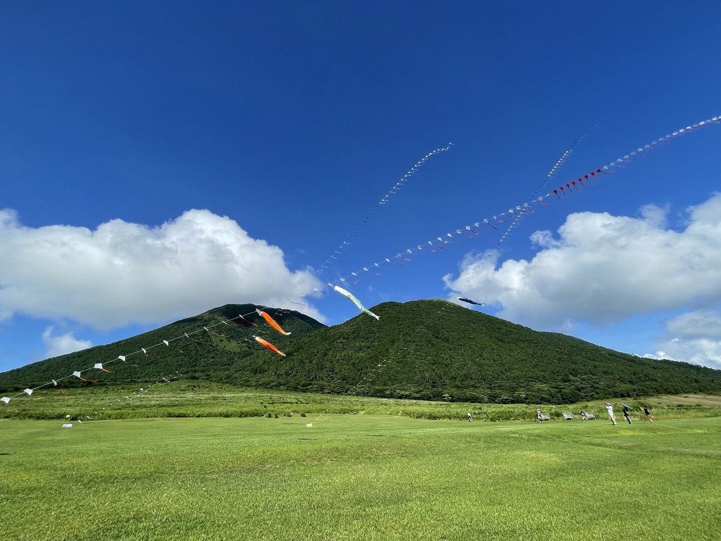 天気も良かったので…いつもの三瓶山にぶら... / akiさんのモーメント | YAMAP / ヤマップ