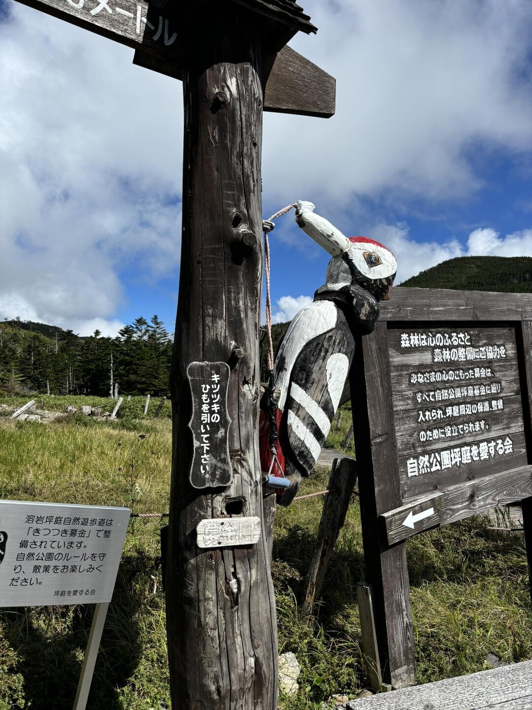 北横岳（南峰）・北横岳（北峰）・縞枯山・茶臼山 / HORNさんの蓼科山・横岳・縞枯山の活動データ | YAMAP / ヤマップ