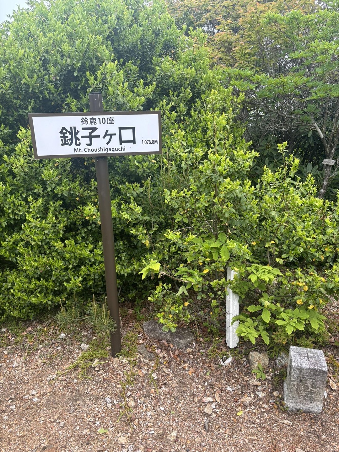 銚子ヶ口から銚子・クラシジャンダルム（その1） / nogi5196さんの釈迦ヶ岳の活動データ | YAMAP / ヤマップ