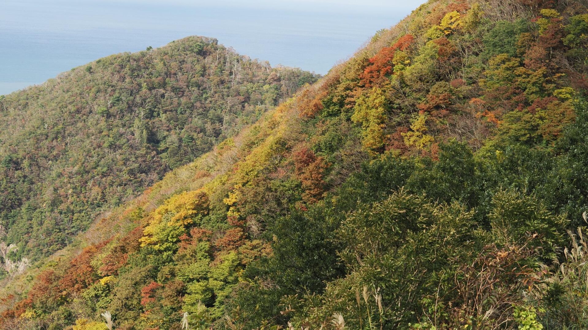 弥彦山 / ku-さんの弥彦山・多宝山・雨乞山の活動データ | YAMAP / ヤマップ
