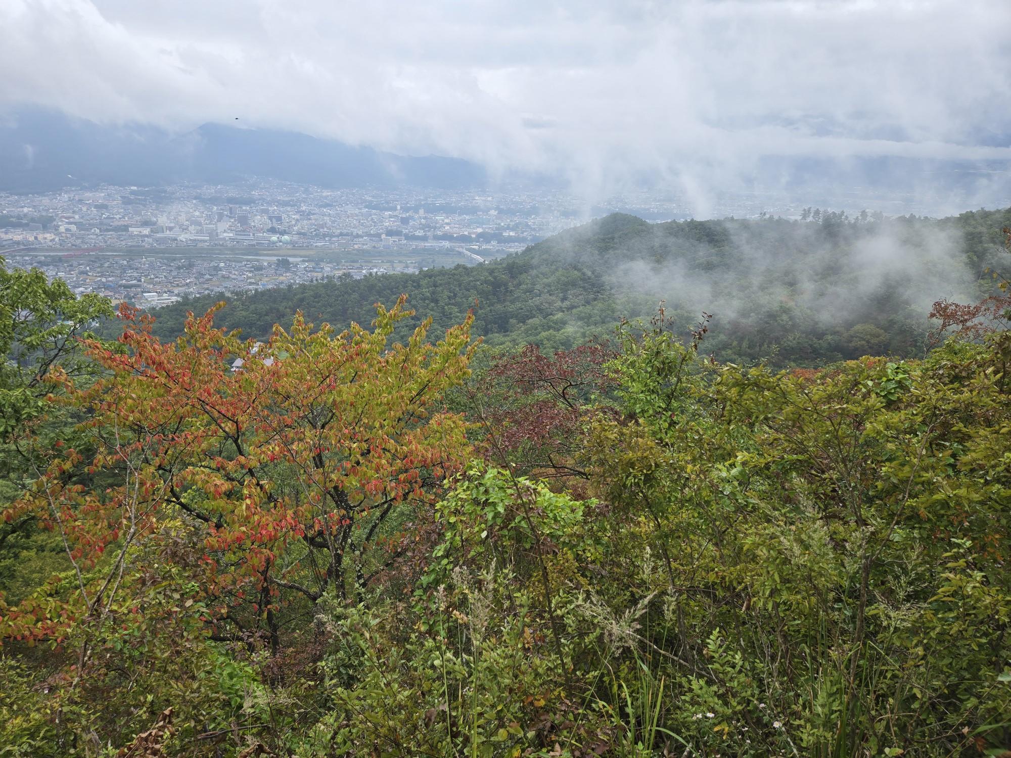 物見山・権現山・石尊山・東山・下之郷山 / ひつじさんの東山の活動データ | YAMAP / ヤマップ