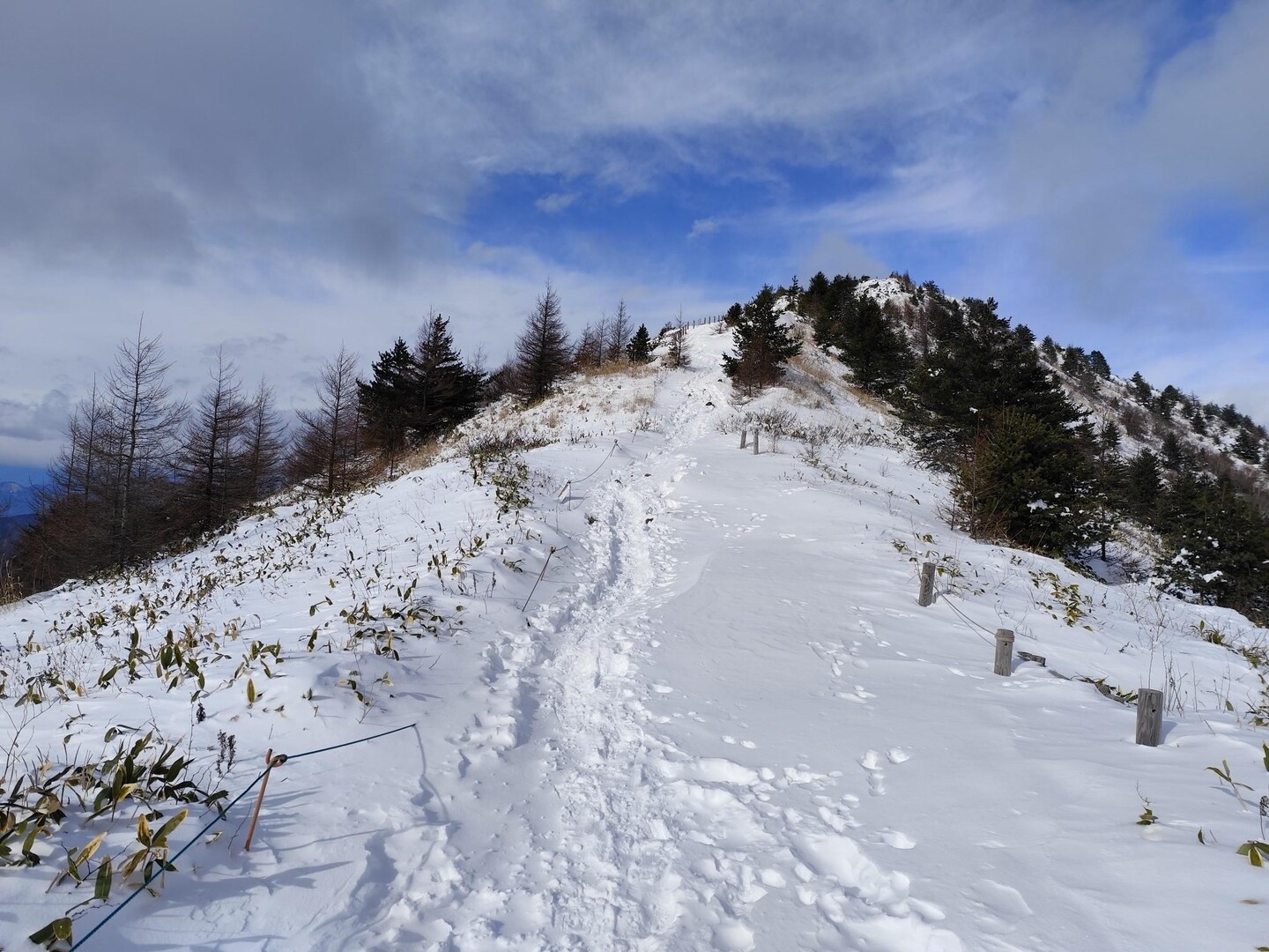 湯ノ丸山・烏帽子岳 スノーハイク / lukenosanpoさんの湯ノ丸山・角間山・鍋蓋山の活動日記 | YAMAP / ヤマップ