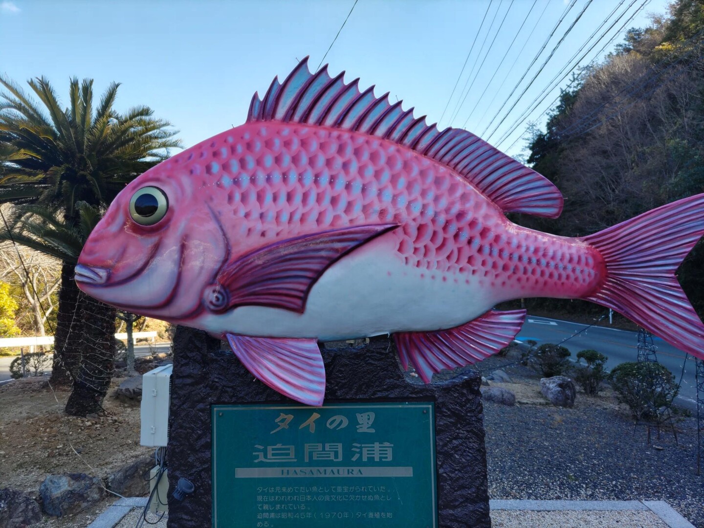 迫間浅間山【111.3m】南伊勢町の低山 / さとちゃんさんの鶴路山の活動データ | YAMAP / ヤマップ