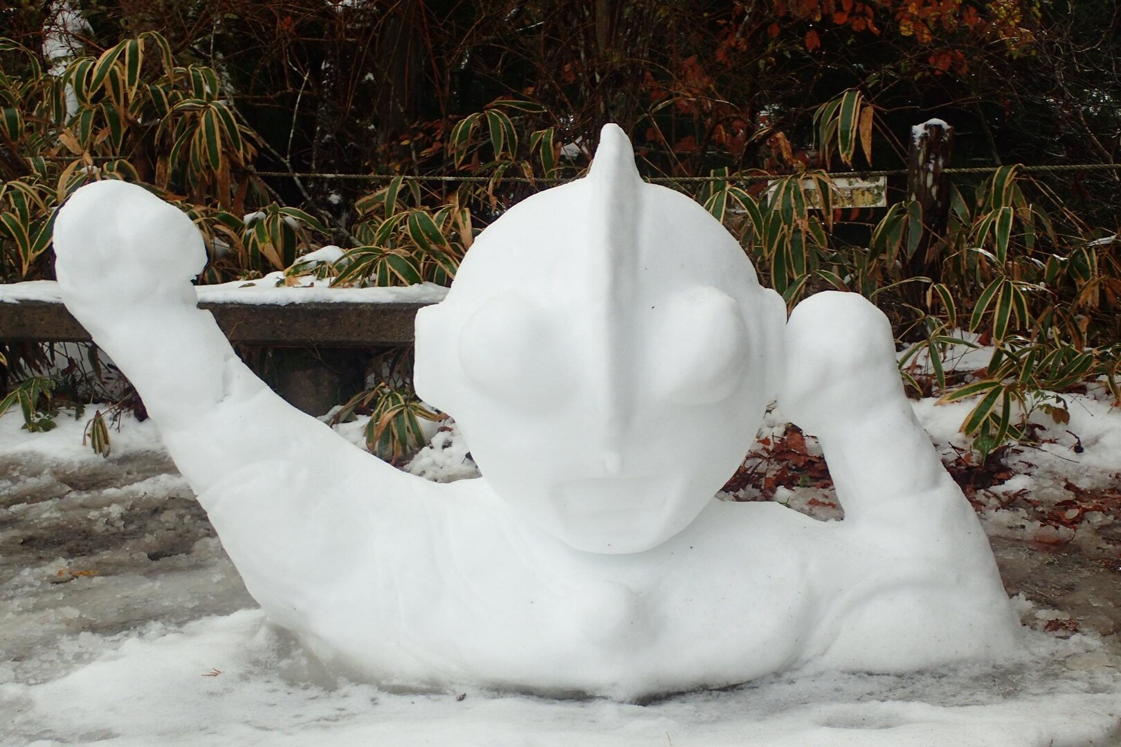 777.7m＠奥赤坂山 / あゆみ（歩人ほびっと）さんの金剛山・二上山・大和葛城山の活動データ | YAMAP / ヤマップ