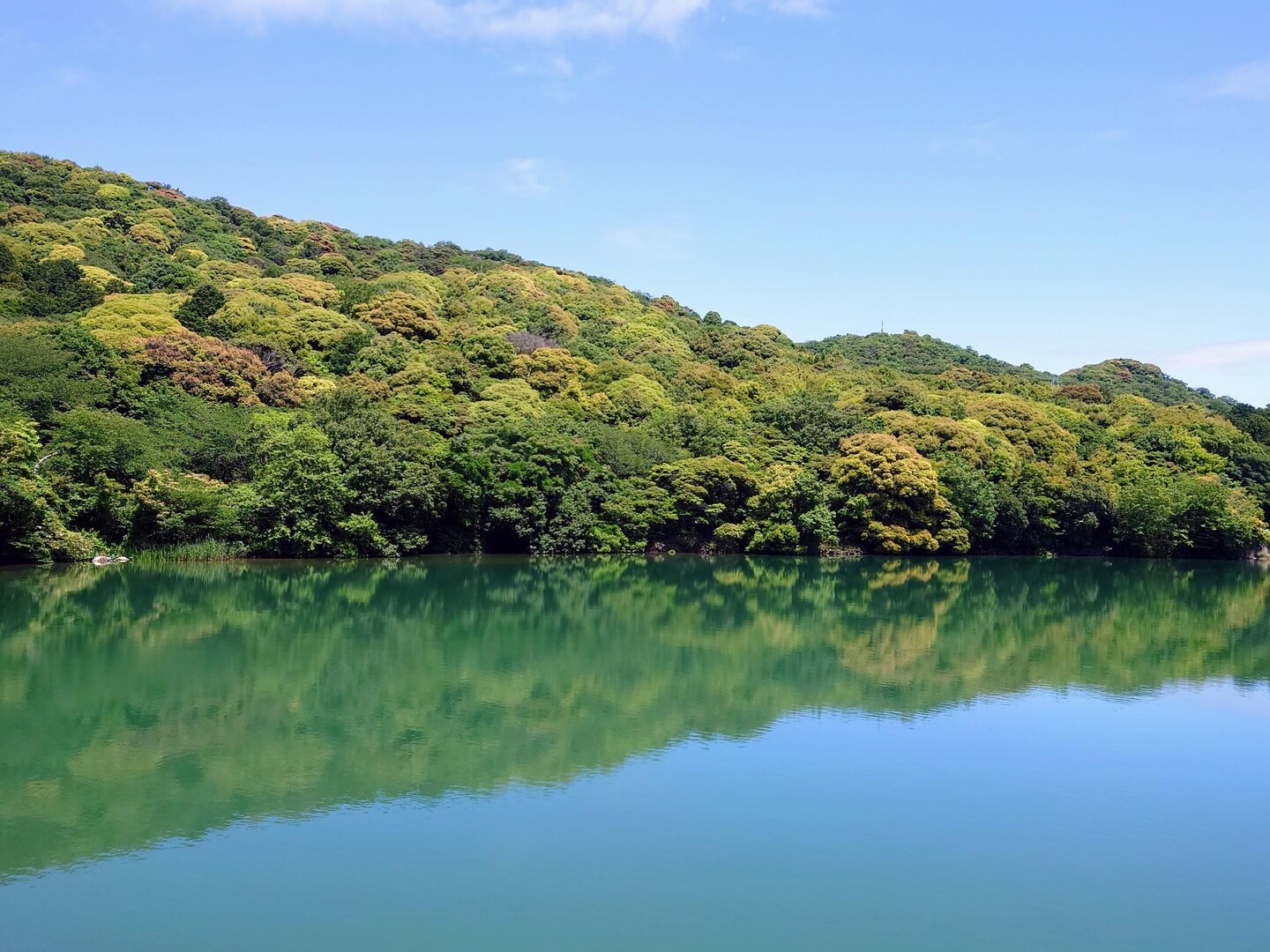 嵩山・神石山・パラダイス・大岩周回 梅田親水公園スタート / ボコさんの坊ヶ峰・石巻山・神石山・葦毛湿原の活動データ | YAMAP / ヤマップ