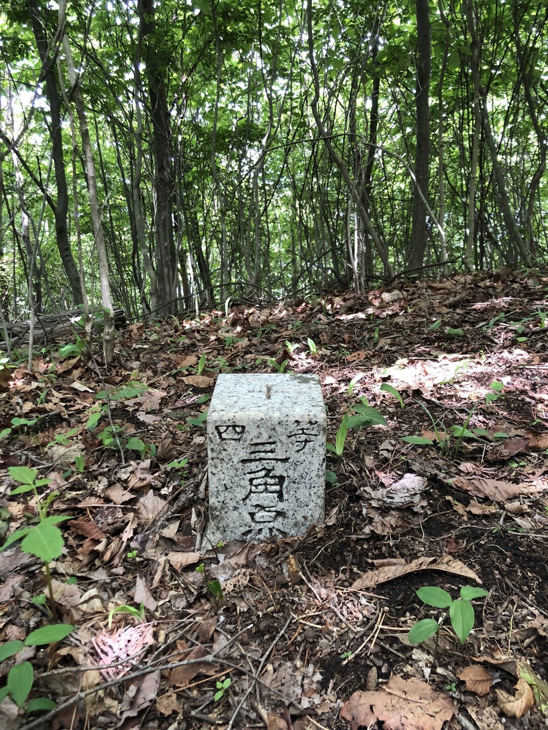 カラカラ山・黒仁田山・入馬山 / necomaru Xさんの御荷鉾山・オドケ山・桐ノ城山の活動データ | YAMAP / ヤマップ
