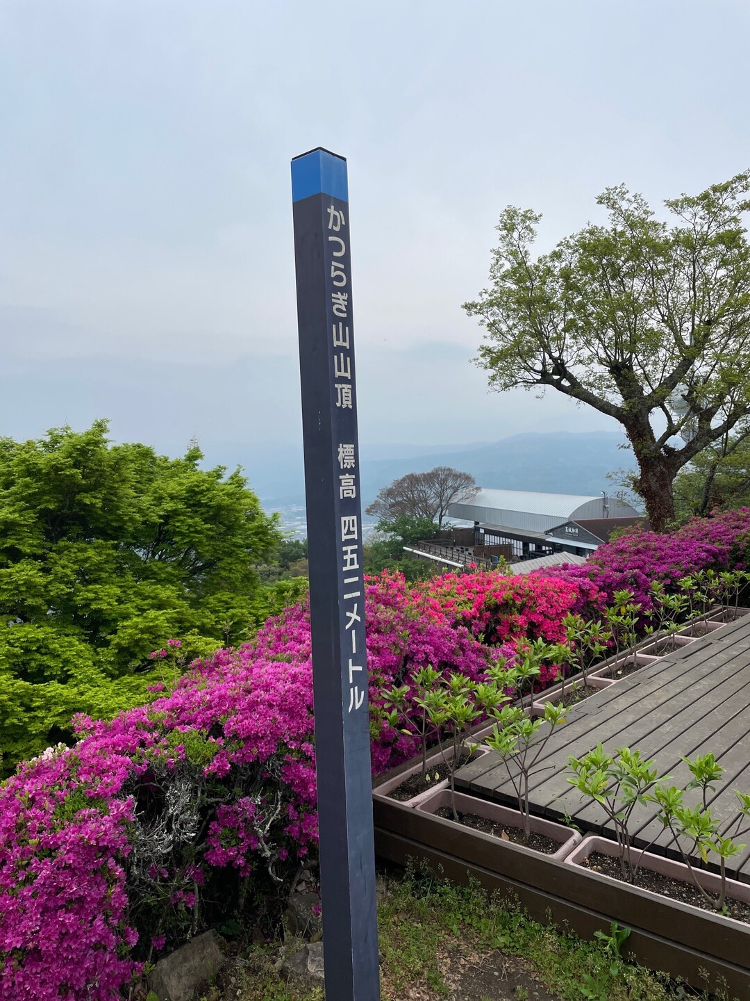 葛城山 / 万次郎さんの金冠山・達磨山・葛城山の活動データ | YAMAP / ヤマップ