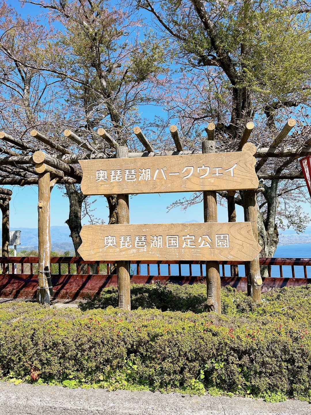 冬期閉鎖が明けた、 奥琵琶湖パークウェイ... / しょこてん746さんのモーメント | YAMAP / ヤマップ