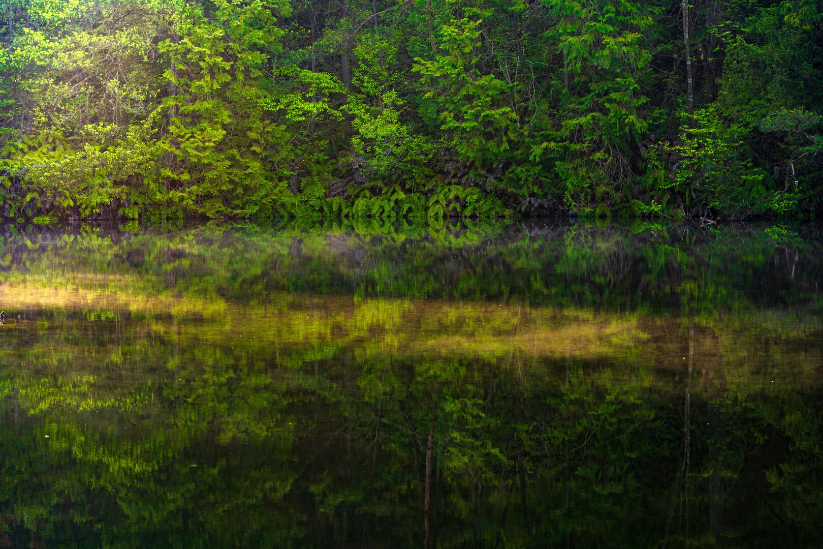 金勝アルプス / yu-kiさんの金勝アルプス（鶏冠山・竜王山）の活動データ | YAMAP / ヤマップ