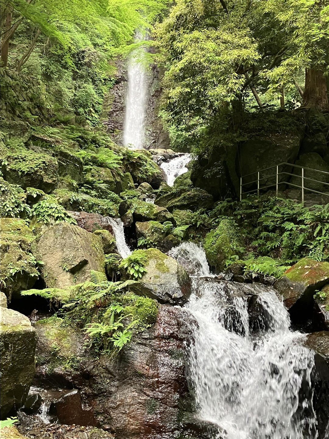 北尾根P826峰・小倉山・三方山 / ひろりんさんの養老山・笙ヶ岳・三方山の活動データ | YAMAP / ヤマップ