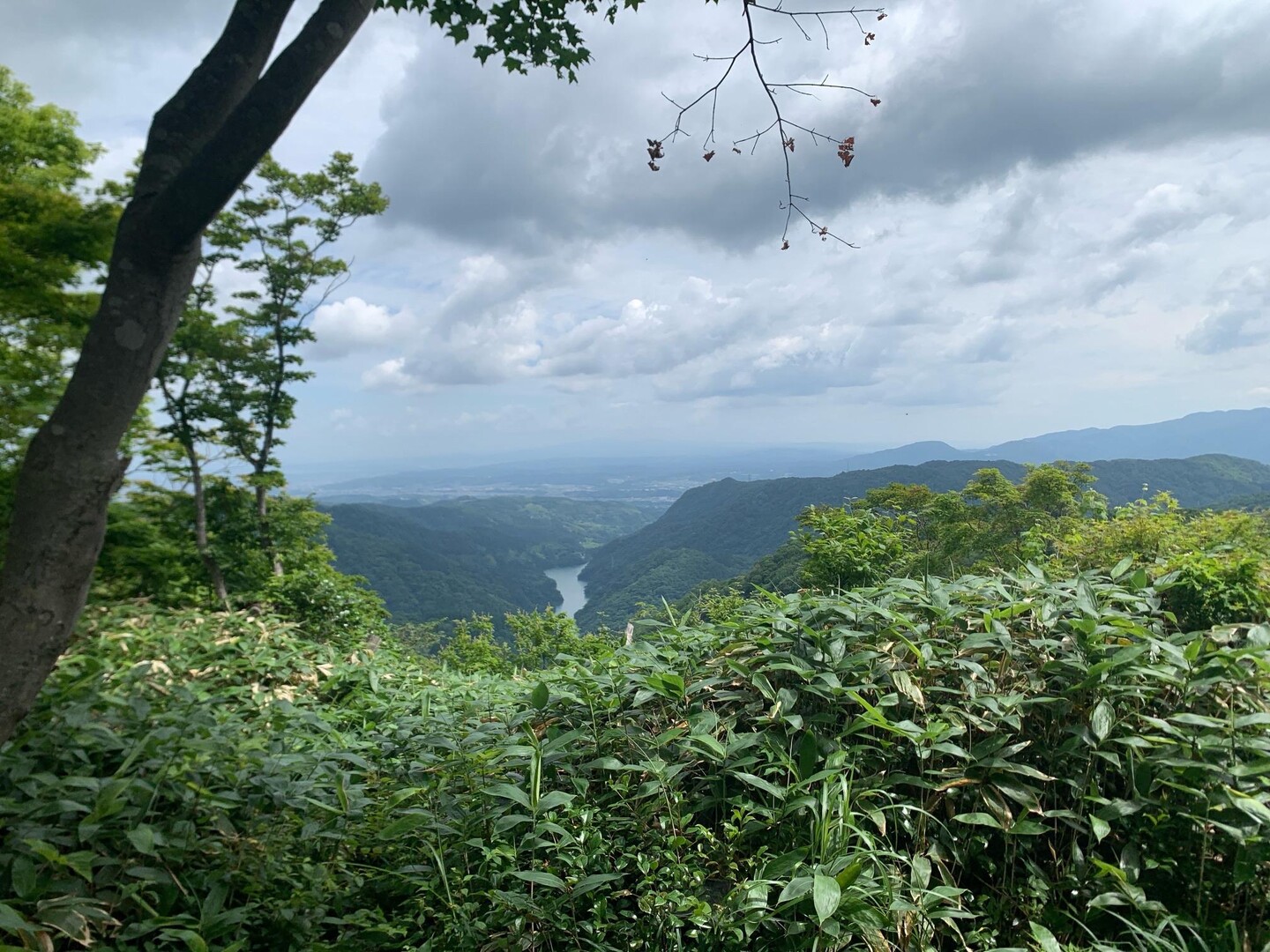 リハビリ4(御堂山) 天候晴 気温20度 / Zi→tuさんの奥獅子吼山・口三方岳・烏帽子山の活動データ | YAMAP / ヤマップ
