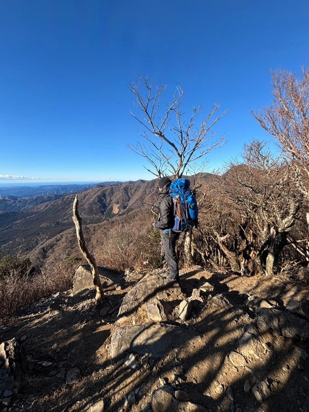 万二郎岳（天城山）・万三郎岳（天城山） / wakki41さんの天城山・鉢ノ山・三筋山の活動日記 | YAMAP / ヤマップ