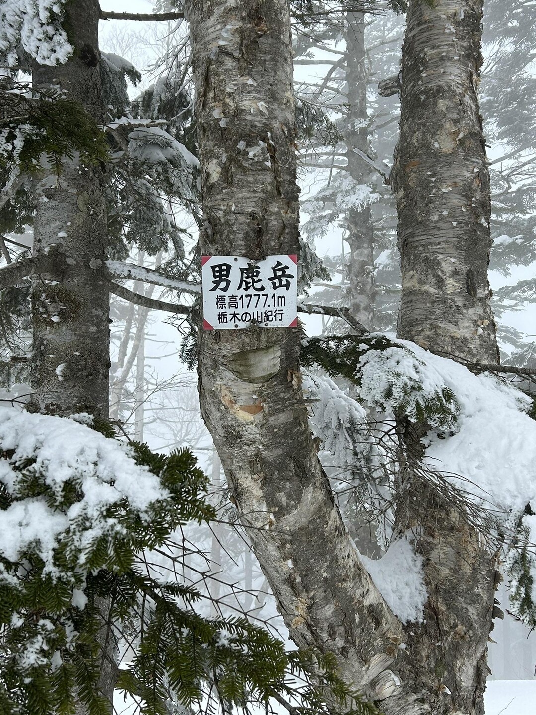 男鹿岳 / yuu39さんの男鹿岳の活動データ | YAMAP / ヤマップ