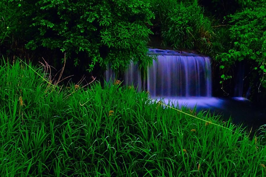 祇園川のホタル（R6.5.27）① / としちゃんさんの天山の活動データ | YAMAP / ヤマップ