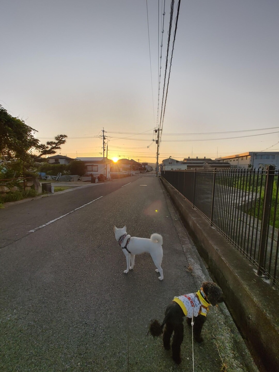 ちょっと早起きして、🌄五月晴れ☀️の清... / GHハコさんのモーメント | YAMAP / ヤマップ