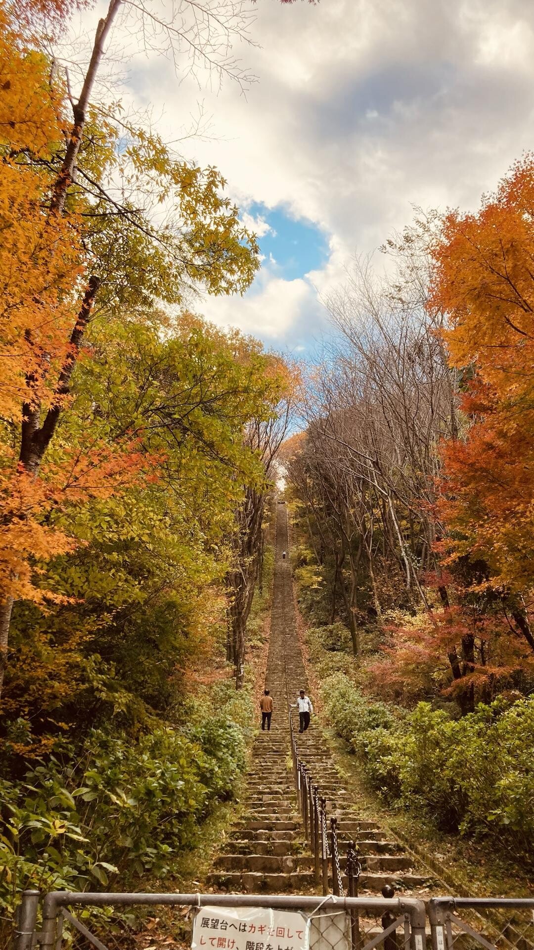 関西百名山 紅葉の二上山（雄岳） / NH58さんの金剛山・二上山・大和葛城山の活動日記 | YAMAP / ヤマップ