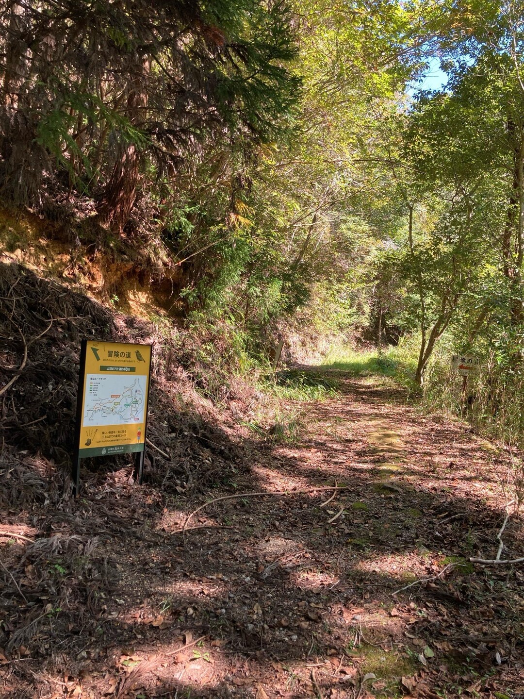 Mariさんの投稿したフィールドメモ | YAMAP / ヤマップ