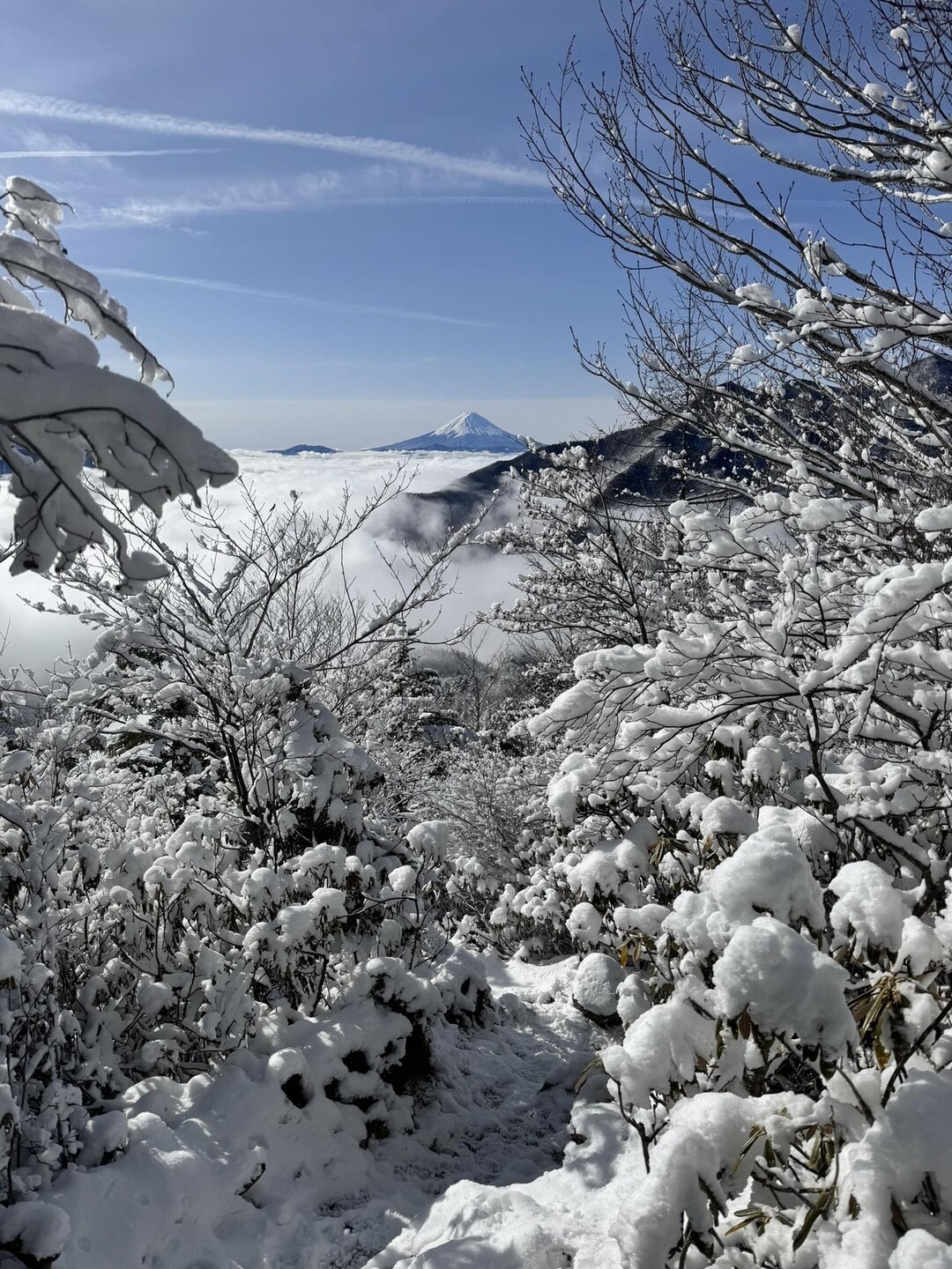 厳冬期甲武信ヶ岳 / mk_013さんの甲武信ヶ岳の活動日記 | YAMAP / ヤマップ