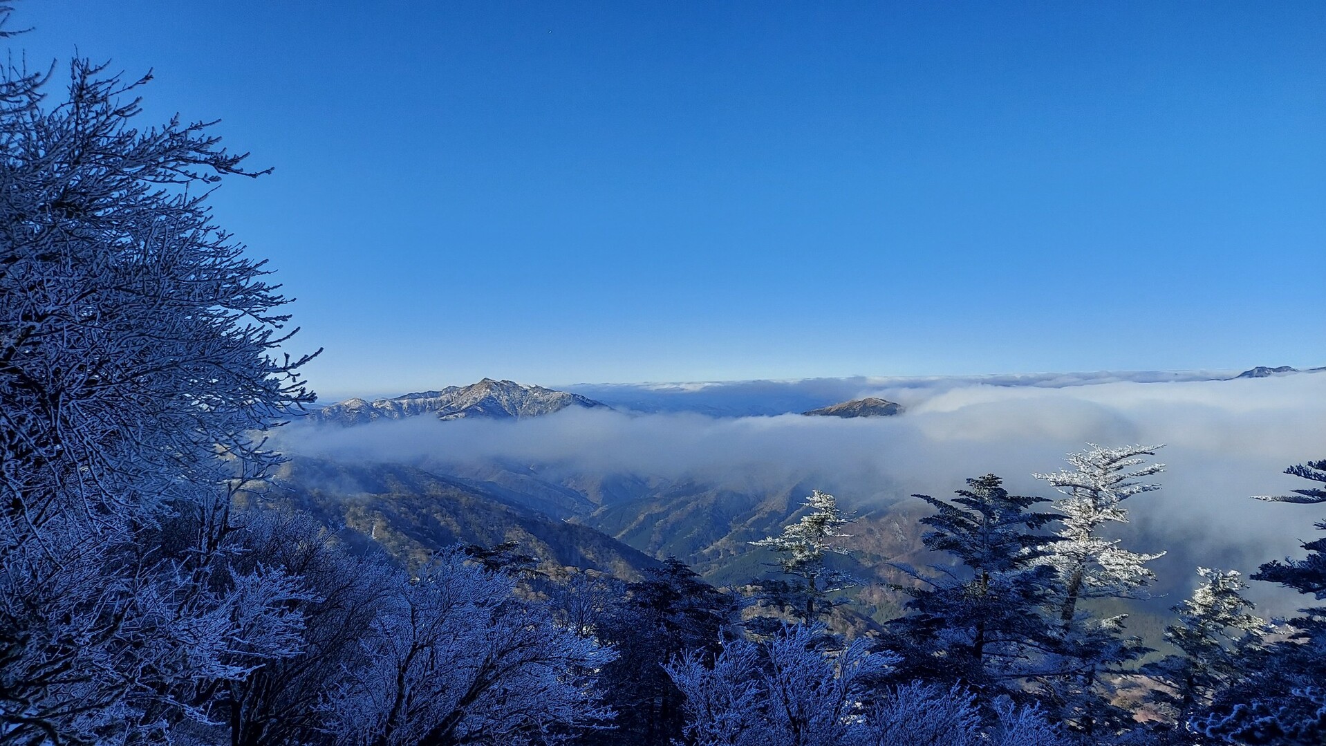 tolucky(^^)さんの投稿したフィールドメモ | YAMAP / ヤマップ