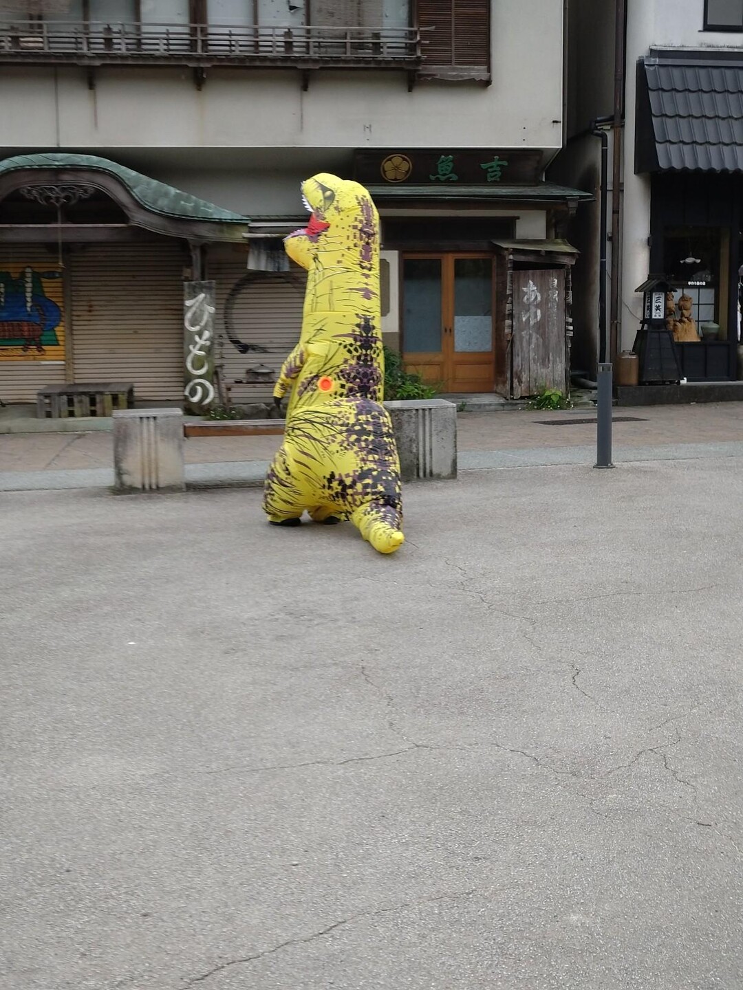 少し前に修善寺にて。 なんか、妙にじわじ... / kmk-nさんのモーメント | YAMAP / ヤマップ