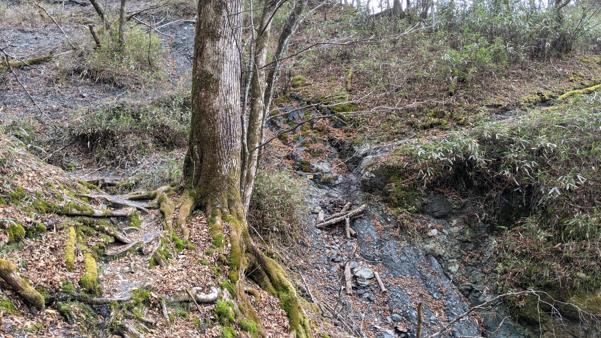 Atsushiさんの投稿したフィールドメモ | YAMAP / ヤマップ