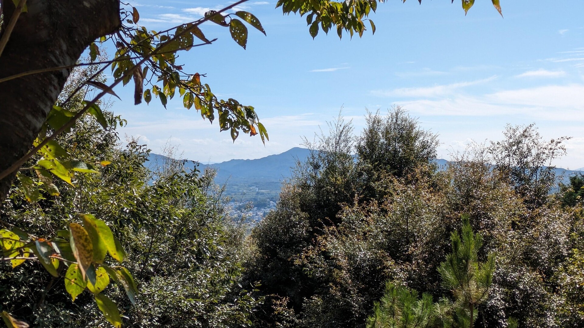 東谷山 / マサさんの春日井三山・弥勒山・大谷山・道樹山の活動データ | YAMAP / ヤマップ
