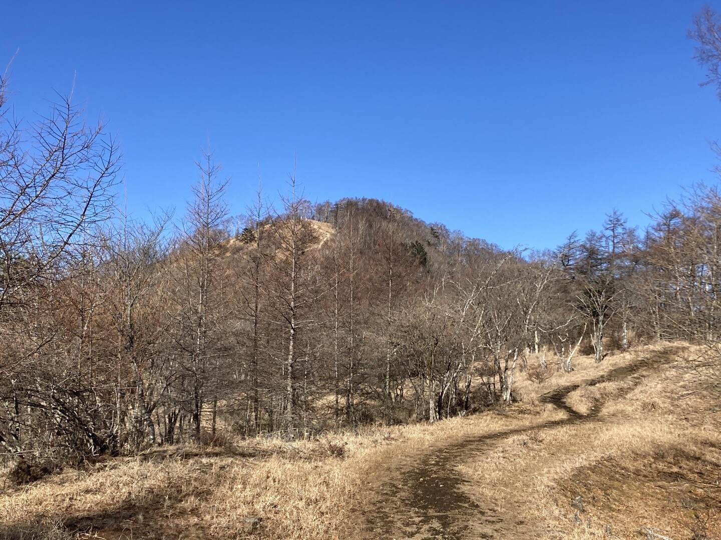 ☀️奥多摩湖〜鷹ノ巣山 / sakaさんの雲取山・鷹ノ巣山・七ツ石山の活動データ | YAMAP / ヤマップ