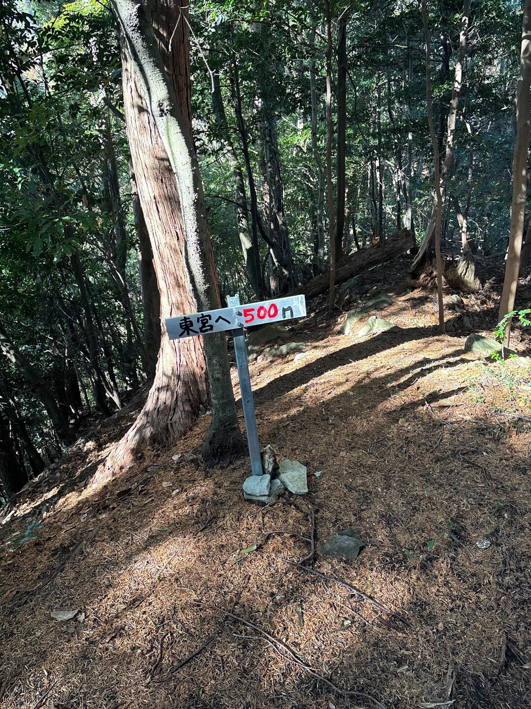 エイジさんの投稿したフィールドメモ | YAMAP / ヤマップ