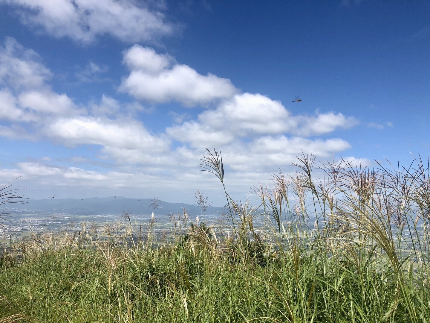 発心山・グライダー山・長岩山 / Red-RAV4💫さんの高良山・発心山・鷹取山の活動データ | YAMAP / ヤマップ