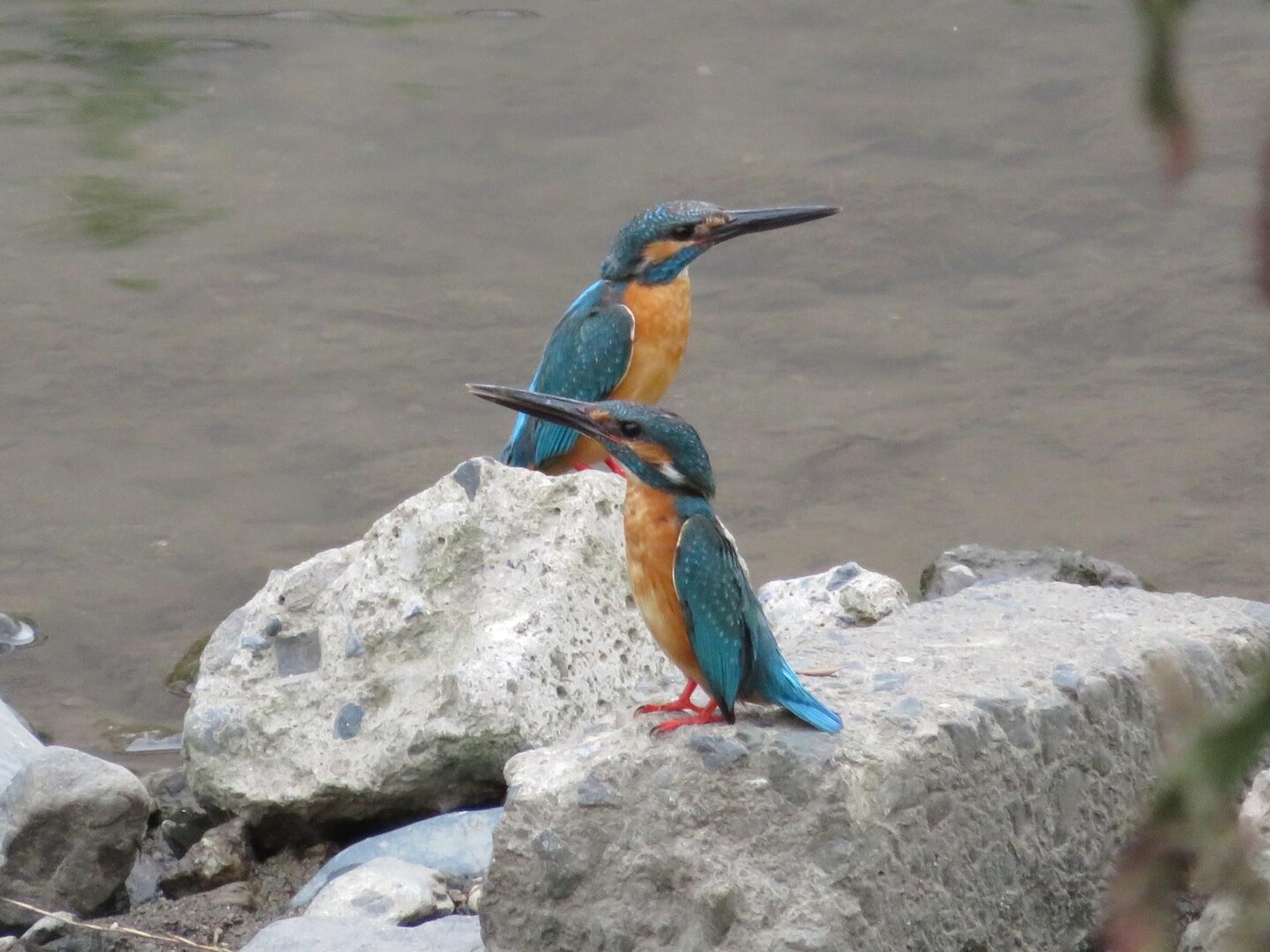 KOIさんのページ | YAMAP / ヤマップ