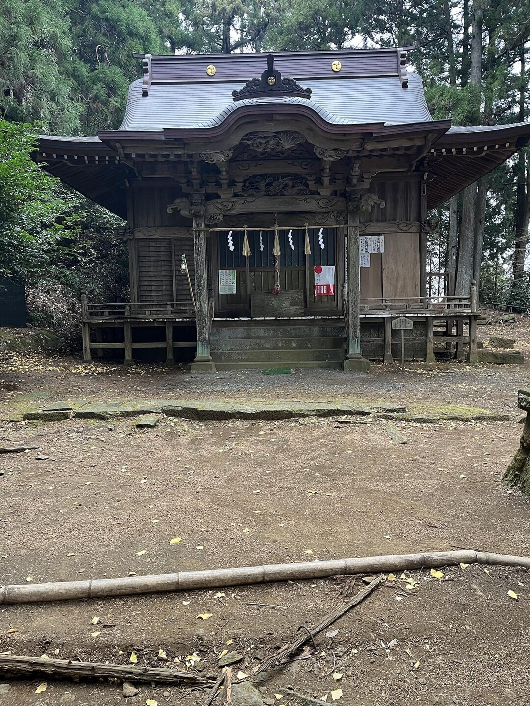 鐘ヶ嶽・日向山・見城山 / G.Loveさんの大山の活動データ | YAMAP / ヤマップ