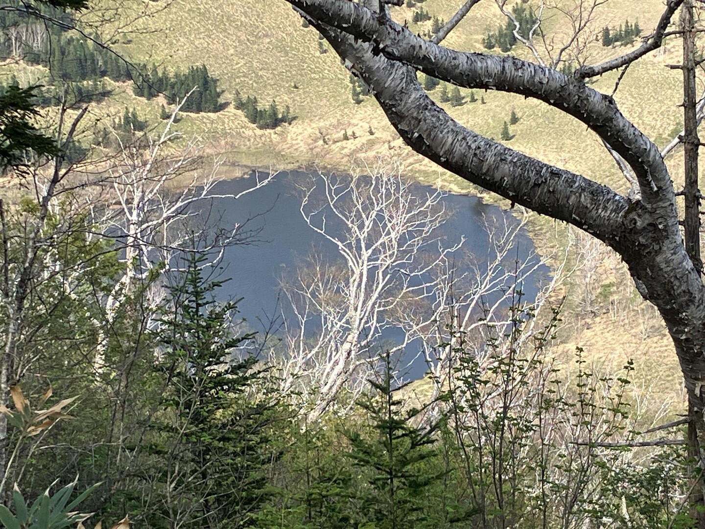 白雲山・天望山 / 747A/Cさんの白雲山の活動データ | YAMAP / ヤマップ