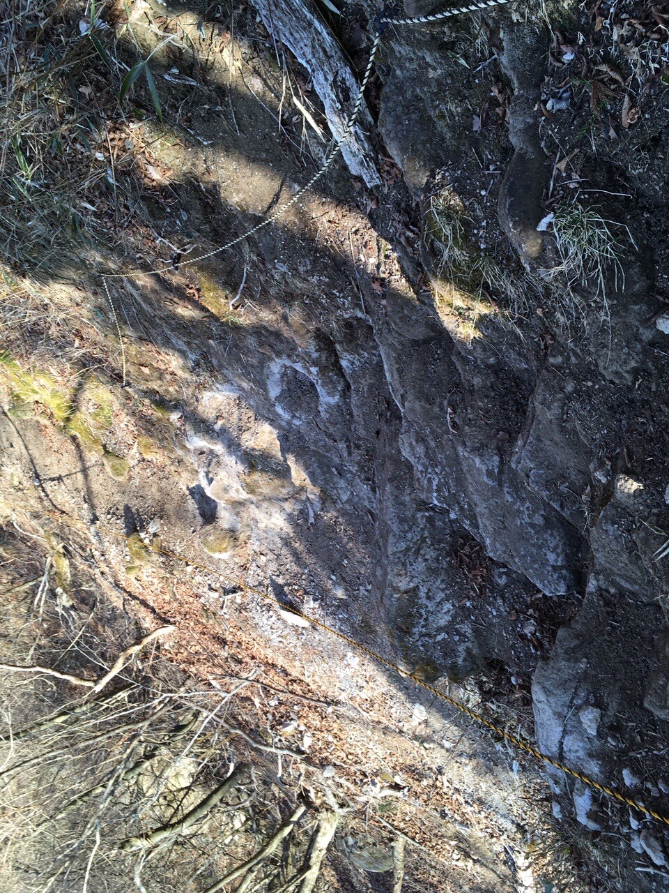 くいとんさんの投稿したフィールドメモ | YAMAP / ヤマップ