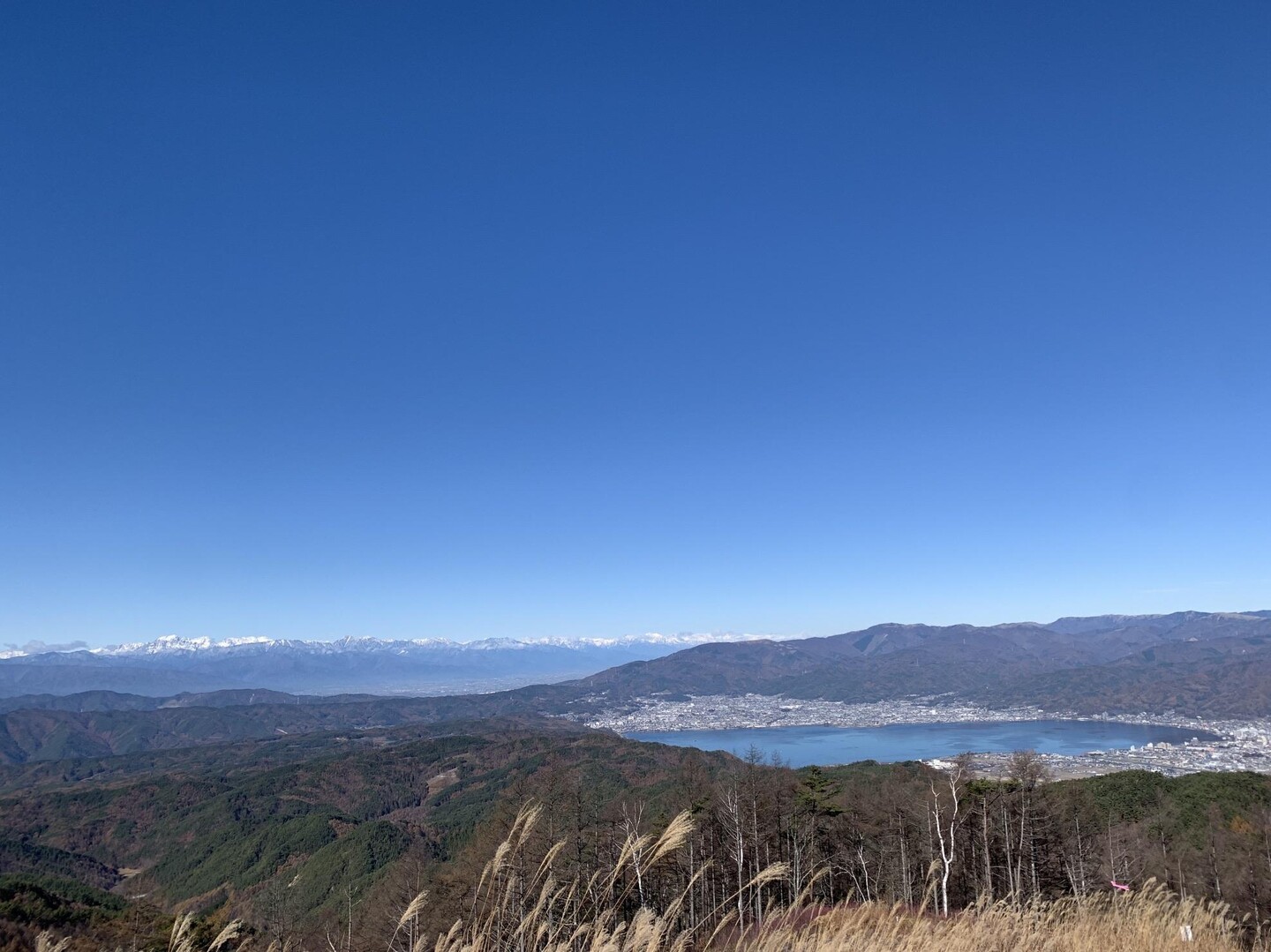 守屋山⛰登り立石コース、下り守屋神社表参道 / jucca🍎さんの守屋山の活動データ | YAMAP / ヤマップ