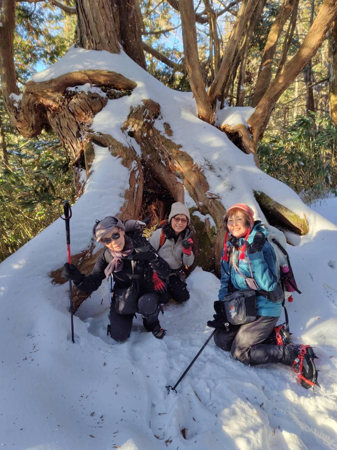 南沢山・横川山（湯舟沢山） / hitoさんの恵那山・大判山・神坂山の活動データ | YAMAP / ヤマップ