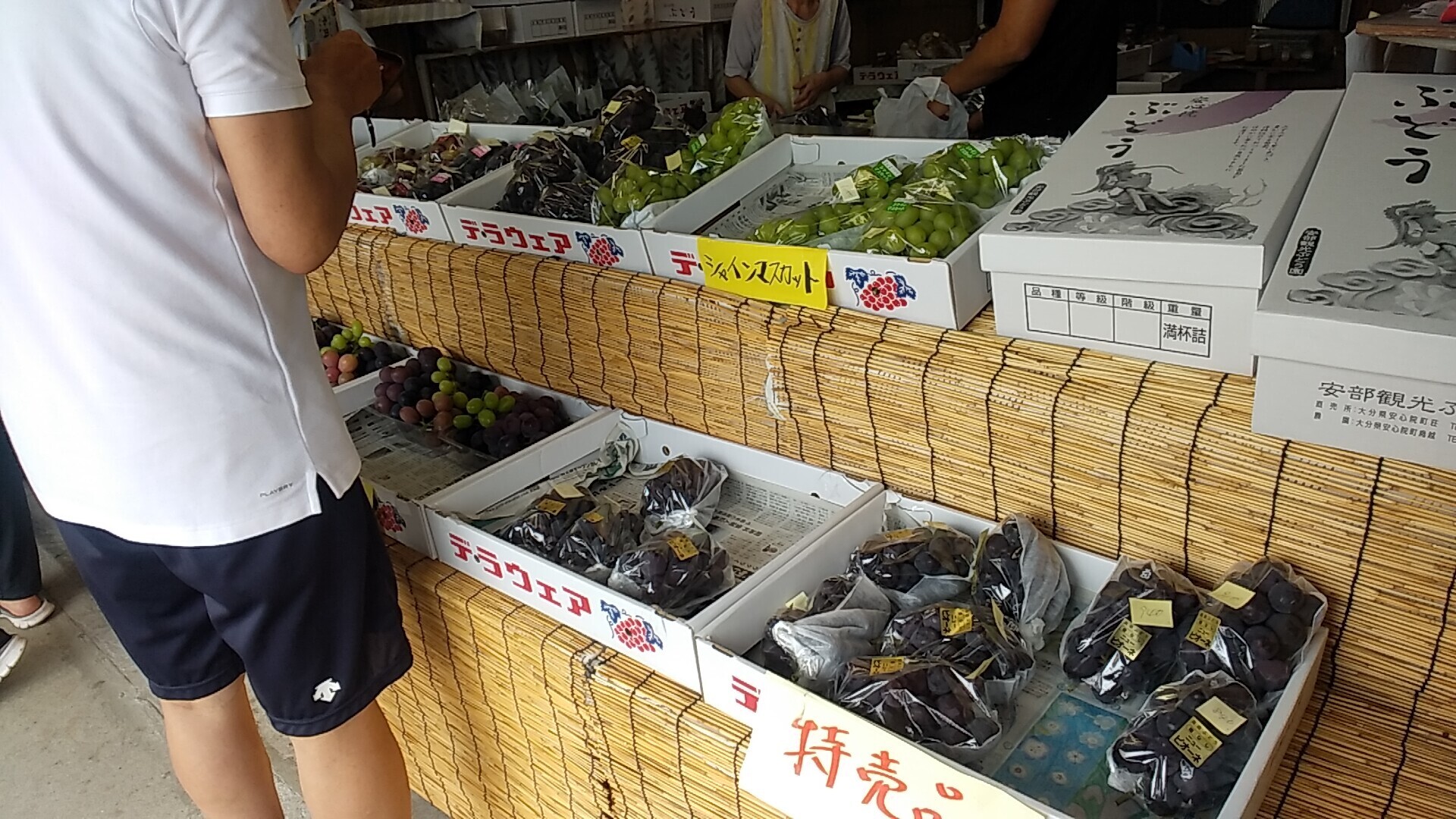 200座達成のお祝いに、シャインマスカッ... / ドラゴン7さんのモーメント | YAMAP / ヤマップ