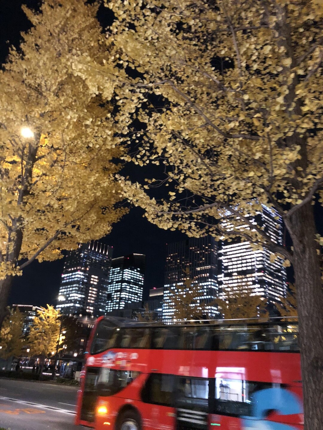 今日も今日とて、このあと忘年会！！ / kakkyさんのモーメント | YAMAP / ヤマップ