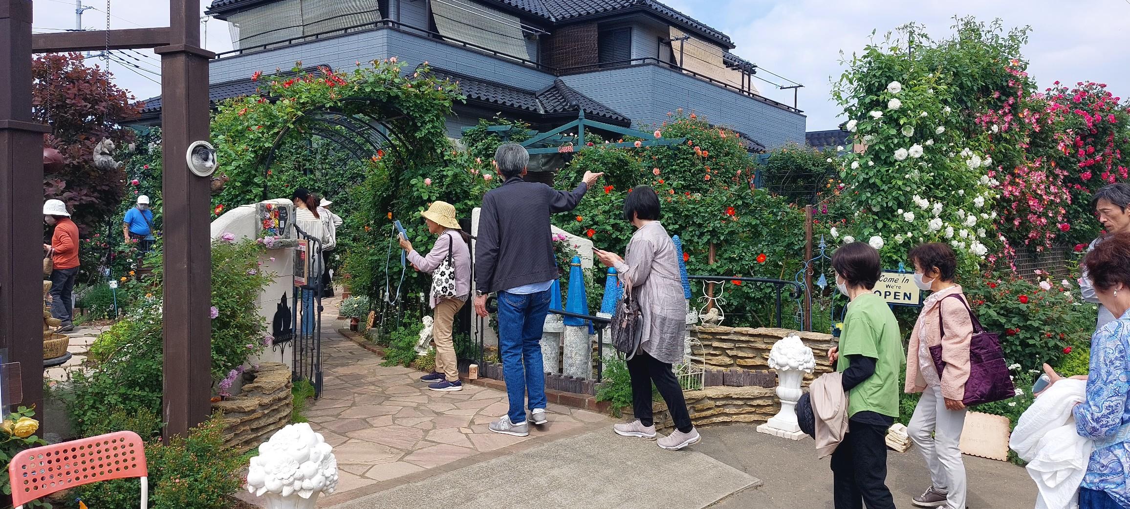 近所の個人宅でバラの花🌼が綺麗な庭が一... / HALさんのモーメント | YAMAP / ヤマップ