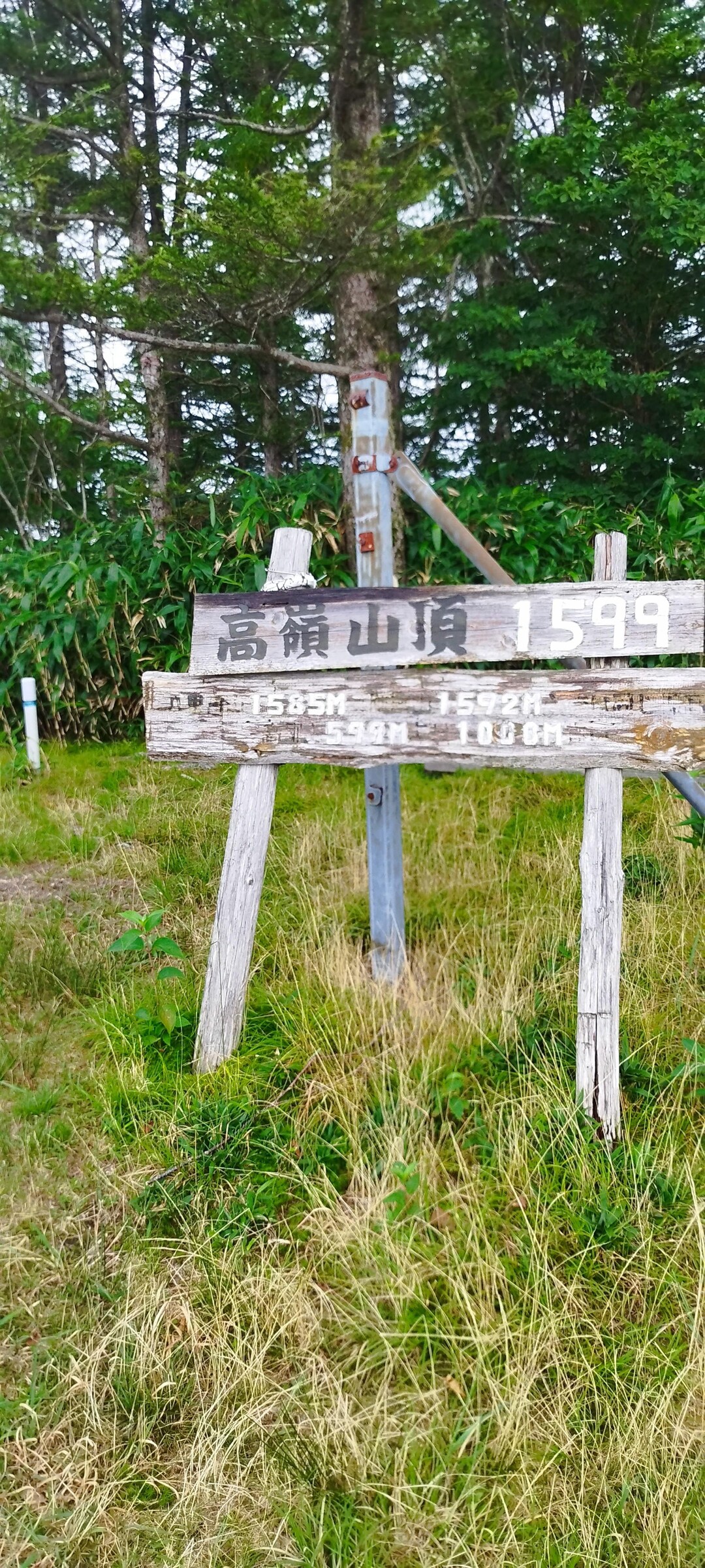 長者峰・高嶺 / kikue.aoさんの高嶺山・長者峰の活動データ | YAMAP / ヤマップ