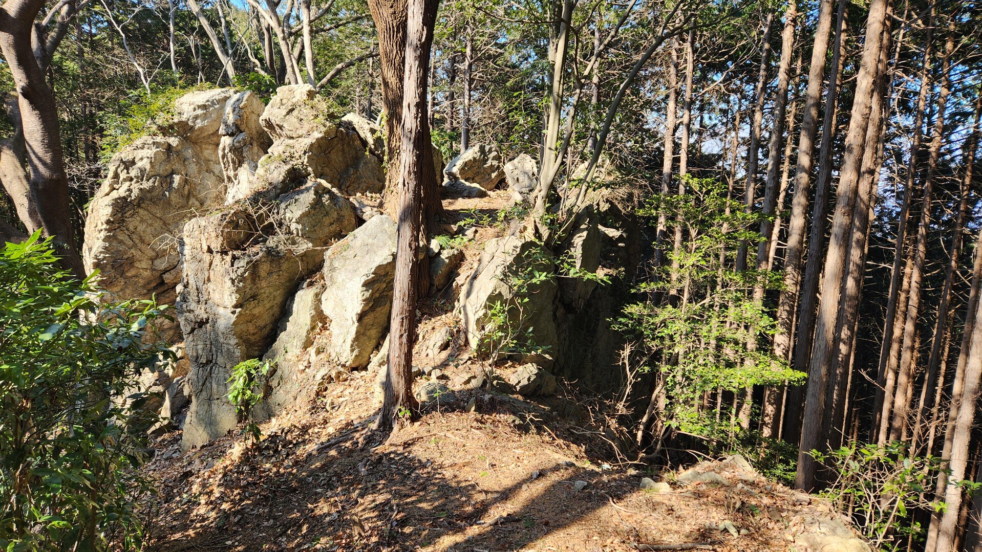 dxcさんの投稿したフィールドメモ | YAMAP / ヤマップ