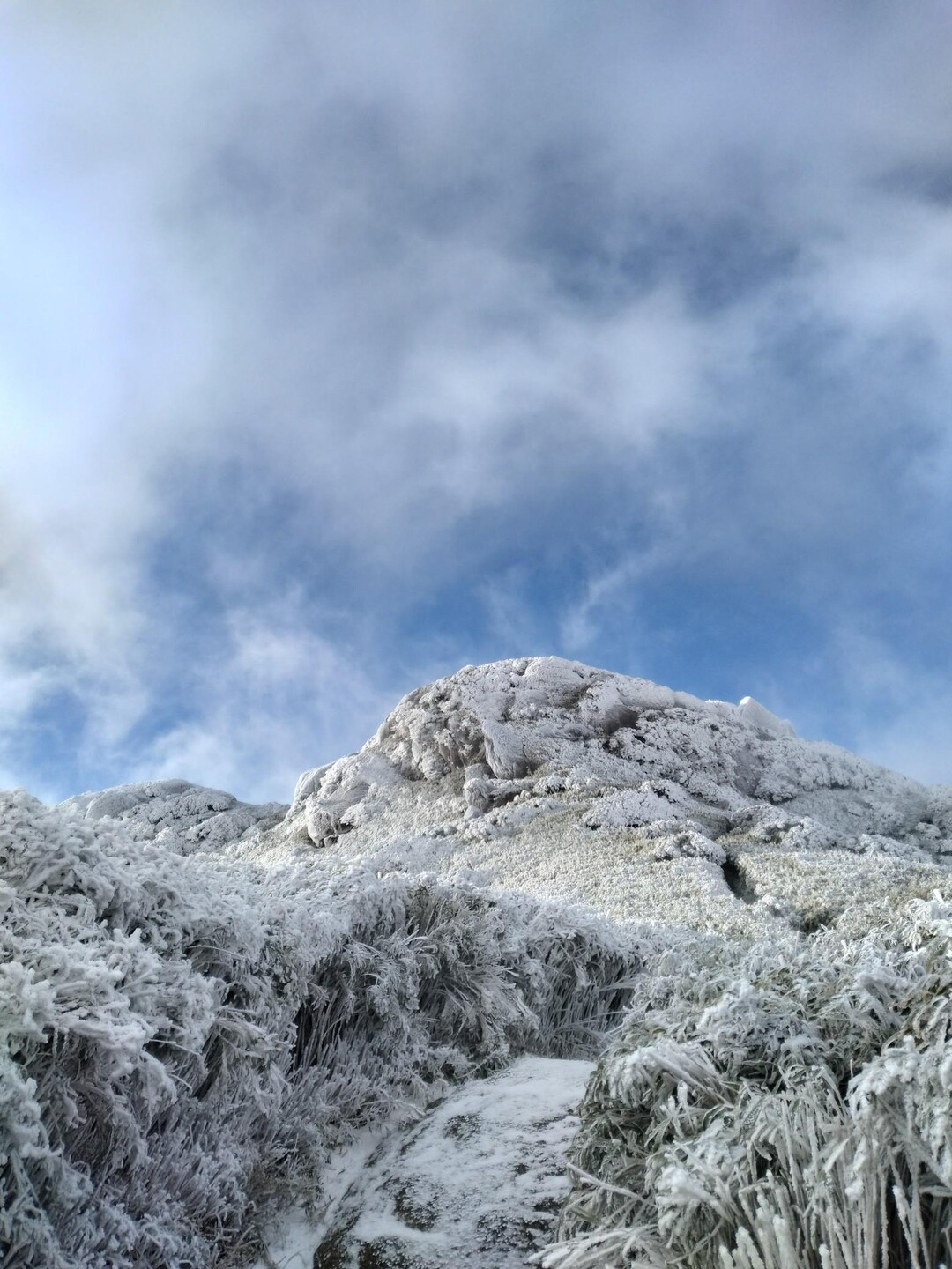 SEA TO SUMMIT 海抜0m登山？😁 / しんのすけさんの屋久島・宮之浦岳の活動日記 | YAMAP / ヤマップ