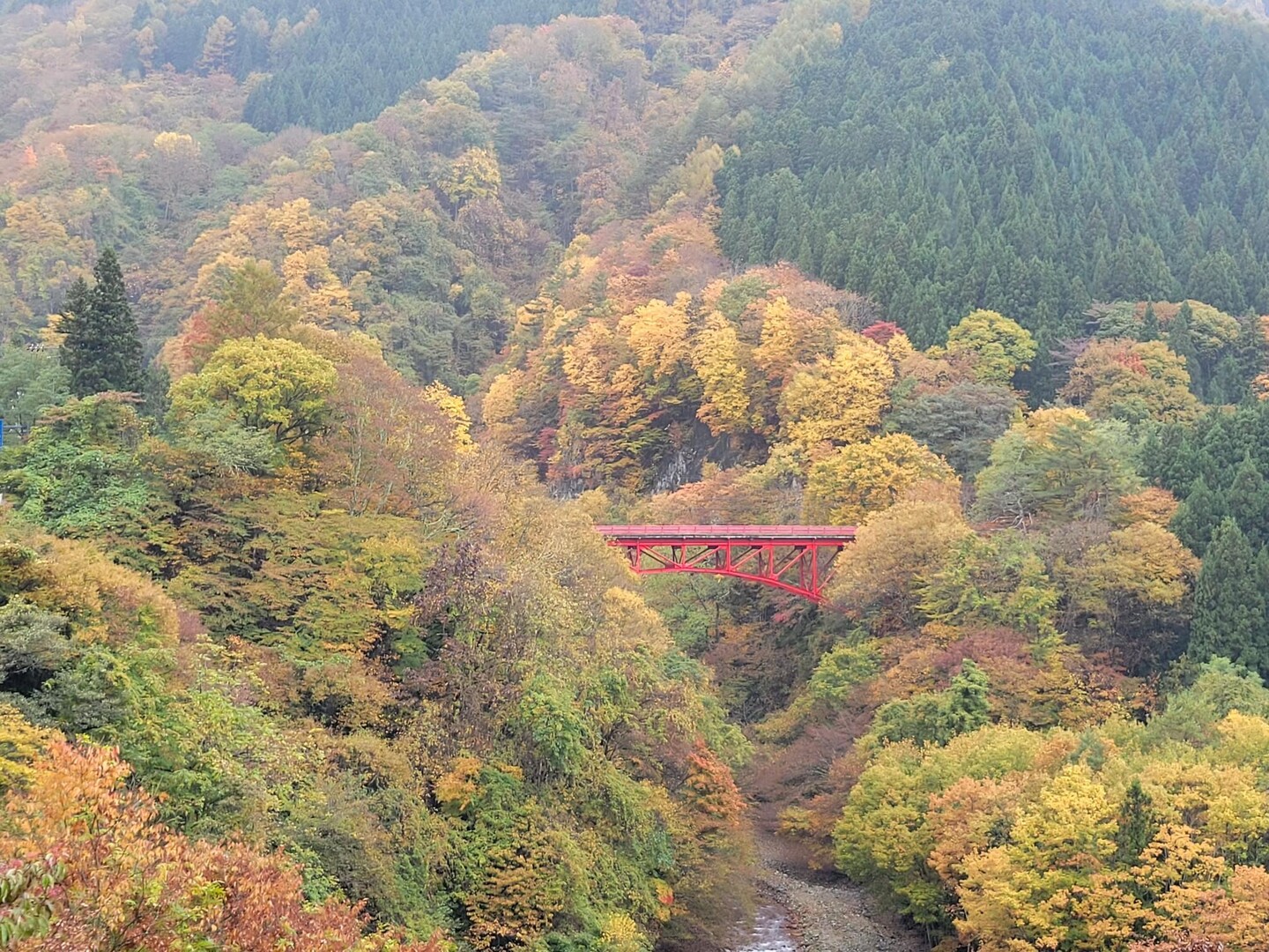 信州高山温泉郷の松川渓谷 舞の道遊歩道... / maruさんのモーメント | YAMAP / ヤマップ
